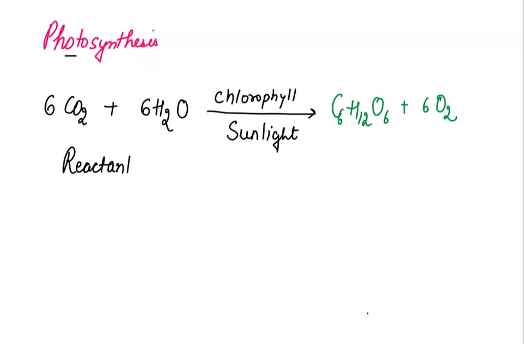 SOLVED Where In An Equation For Photosynthesis Does Glucose Belong