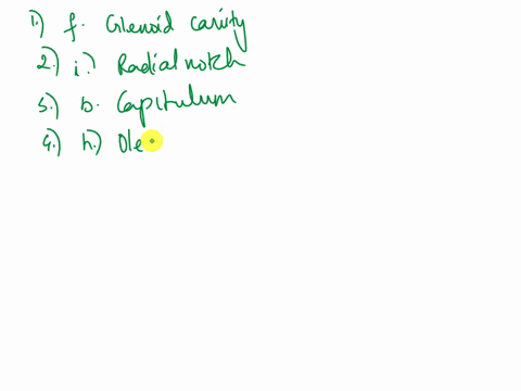 Coronoid process Radial notch Olecranon Radial...
