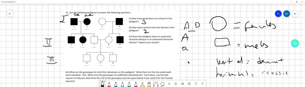 SOLVED: The pedigree chart lists the bloodtypes (phenotypes) of several ...
