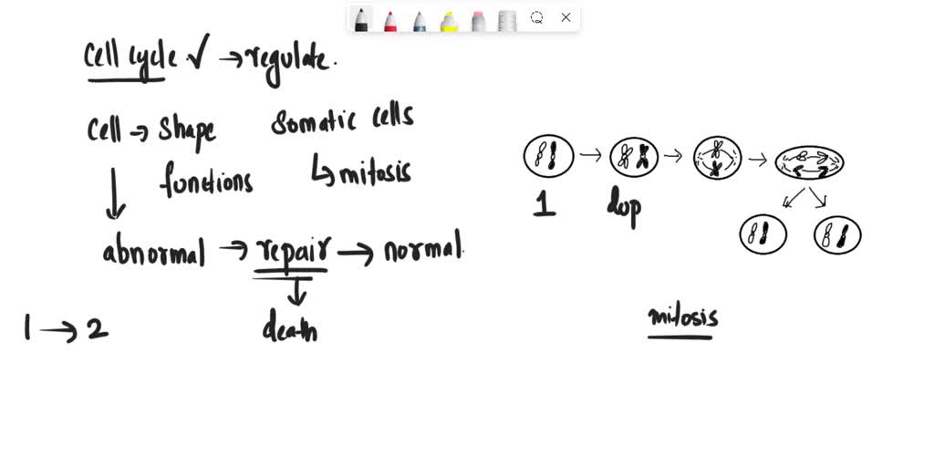 SOLVED: 'labell the diagram please........ OtT Va Draw a neat; labelled ...