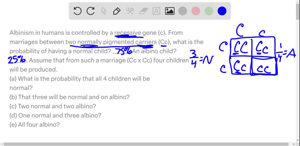 SOLVED: Albinism in humans is controlled by a recessive gene (c). From ...