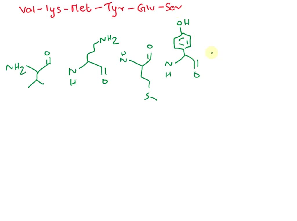 SOLVED: Oligopeptide given Val-Lys-Met-Tyr-Glu-Ser. Draw its full ...