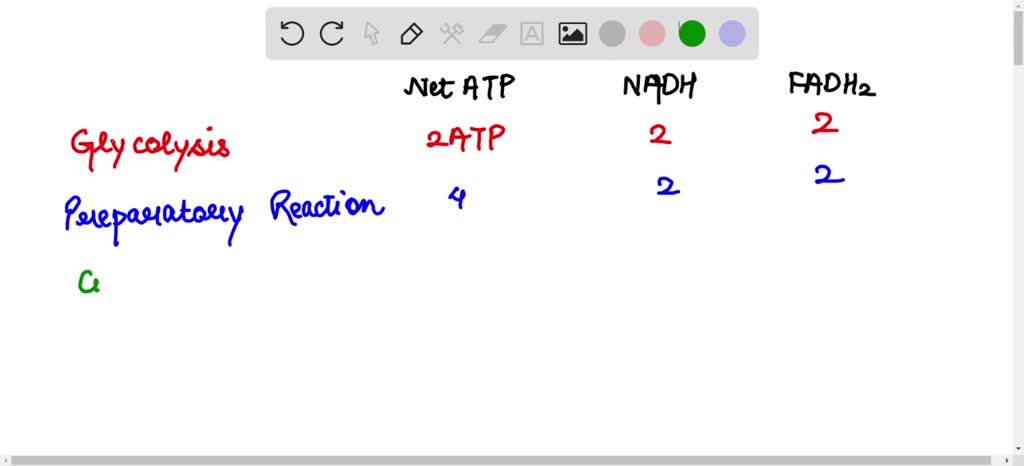SOLVED: How many ATP, NADH, FADH2 molecules are produced (per every ...