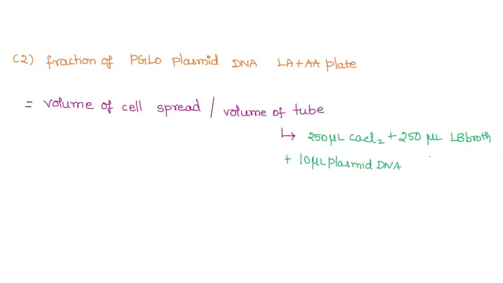 SOLVED: Transformation efficiency Calculation 1 Use steps 14-17 to ...