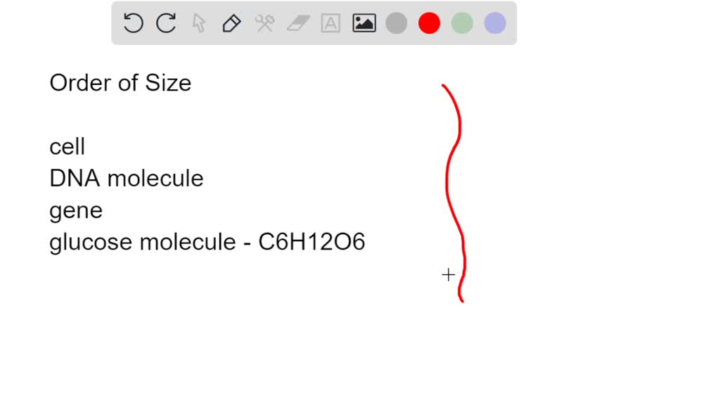 SOLVED: 1. Place the molecules in the list in order with smallest ...