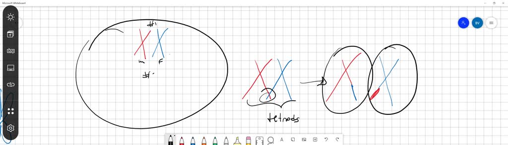 SOLVED: Describe what happens to the tetrads after they form. a ...