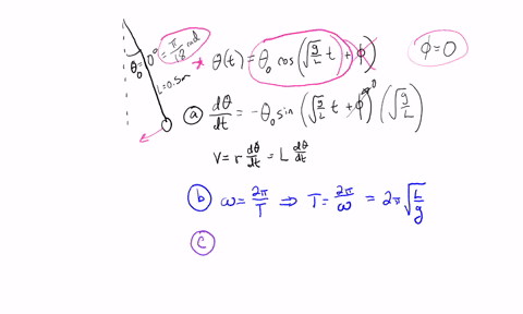 A pendulums equations of motion a ball of mass 100 grams...