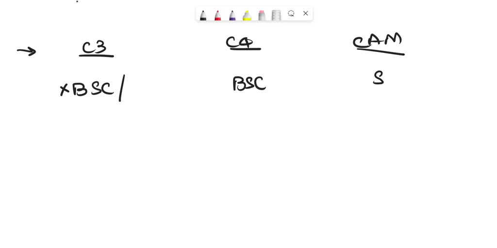 SOLVED: Examples of C3, C4 and CAM plants.