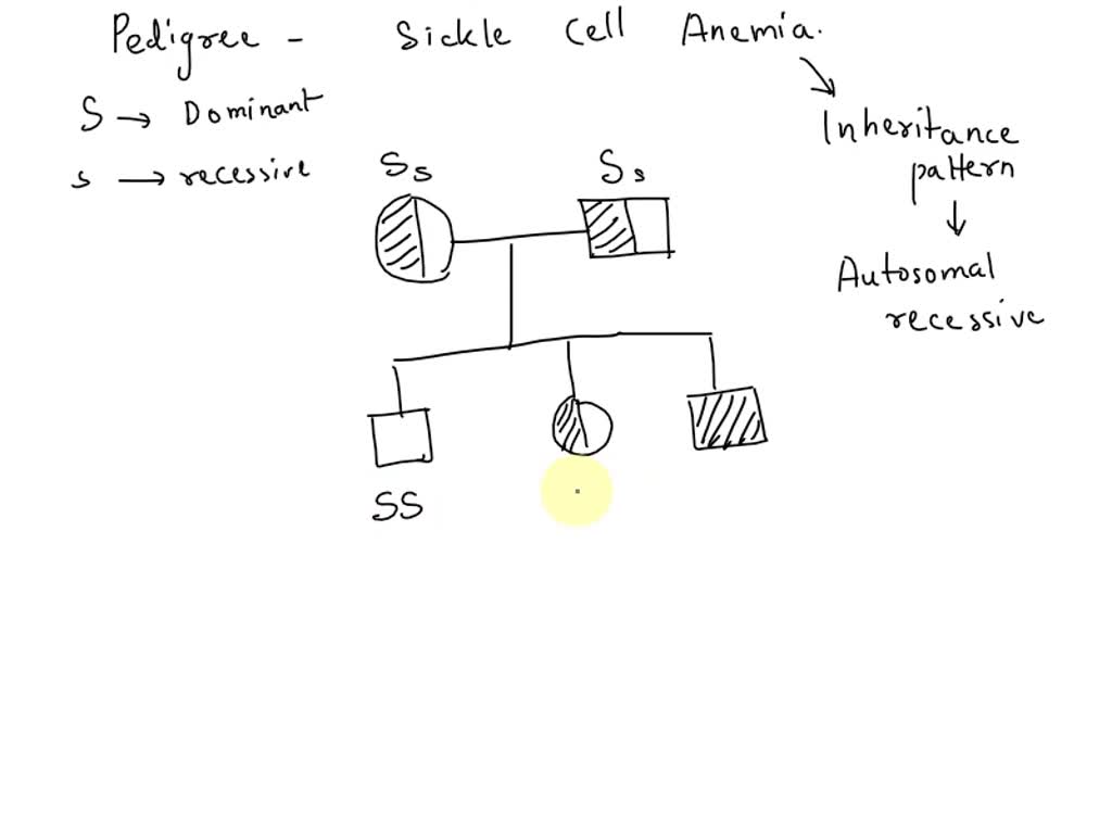 SOLVED: Sickle cell anemia is known to run in a family. A pedigree chart for this family is ...