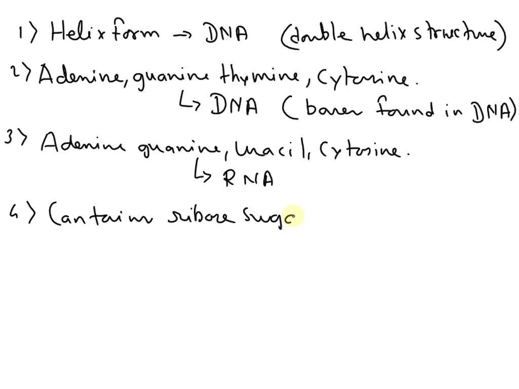SOLVED: RNA vs. DNA Classify the following into whether description of RNA or DNA Helix form ...