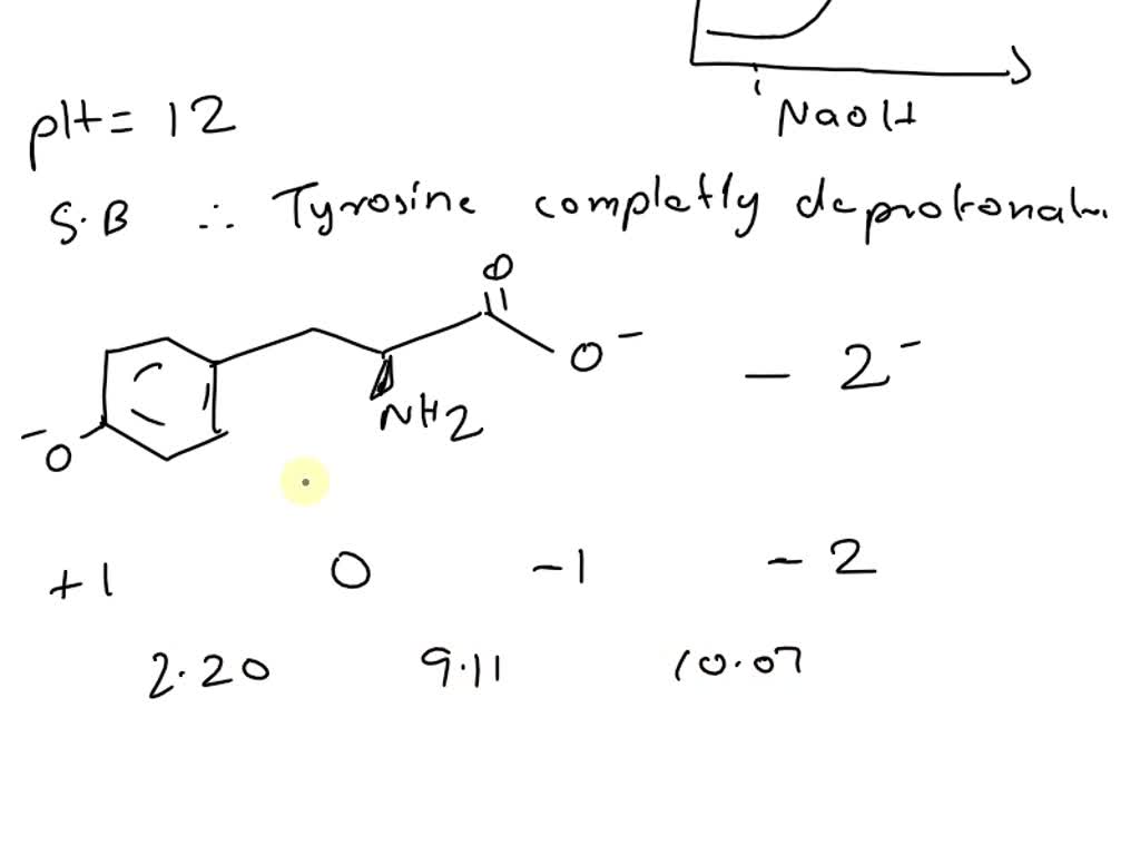 SOLVED: 1. a) Draw the amino acid L-tyrosine in its fully protonated ...