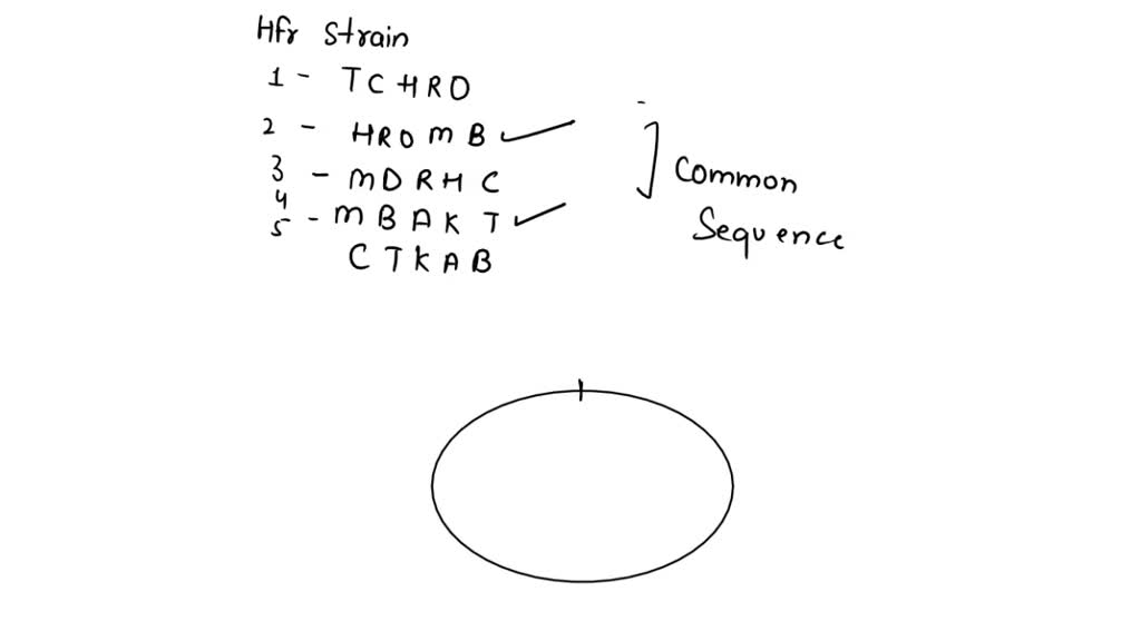 Solved When The Interrupted Mating Technique Was Used With Five Different Strains Of Hfr