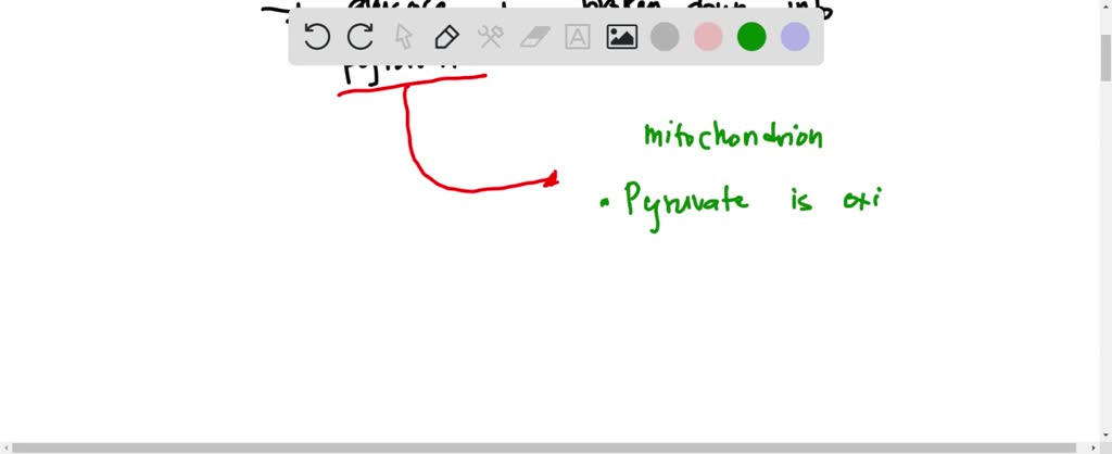 SOLVED: Using the diagram below, select the area of the cell where ... SOLVED: Using the diagram below, select the area of the cell where ...