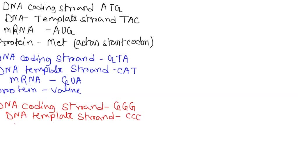 SOLVED: The typical "start" codon in the genetic code is: ATG GTA TAA TAG