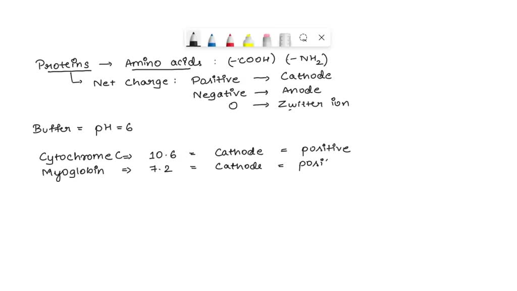 SOLVED: The scientist then loads a gel with a pH gradient and separates ...