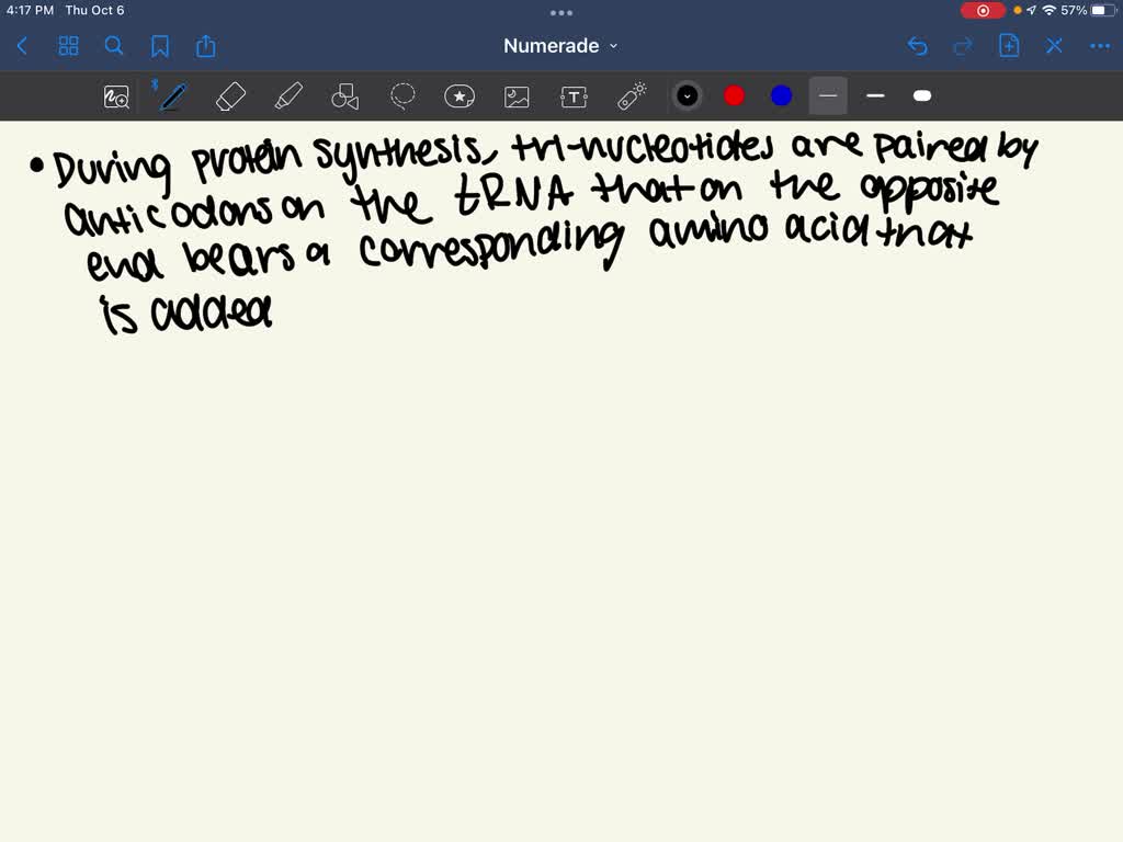 SOLVED: Discuss how the genetic code allows proteins to be synthesised ...