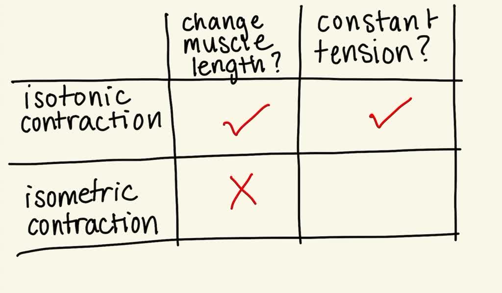 SOLVED: Isometric contractions keep the muscle's length constant and ...