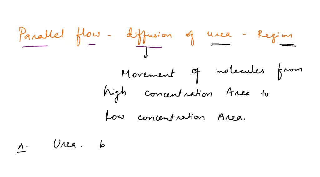 With parallel flow, diffusion of urea occurred at regions I and II but ...