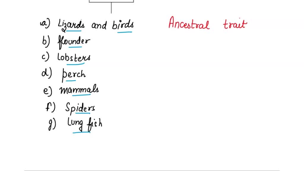 SOLVED: Which animals molt exoskeletons? Vertebrates Lobe-finned fish ...