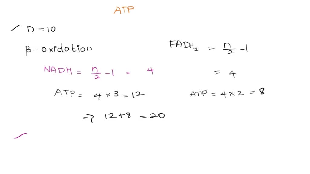 SOLVED: If each NADH generates 3 ATP molecules and each FADH2 generates ...