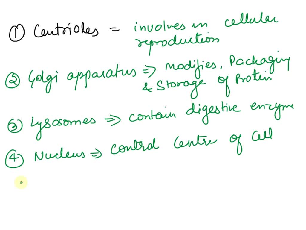 SOLVED: Exercise 5 Review Practice Sheet: Anatomy of the Cell and Cell ...
