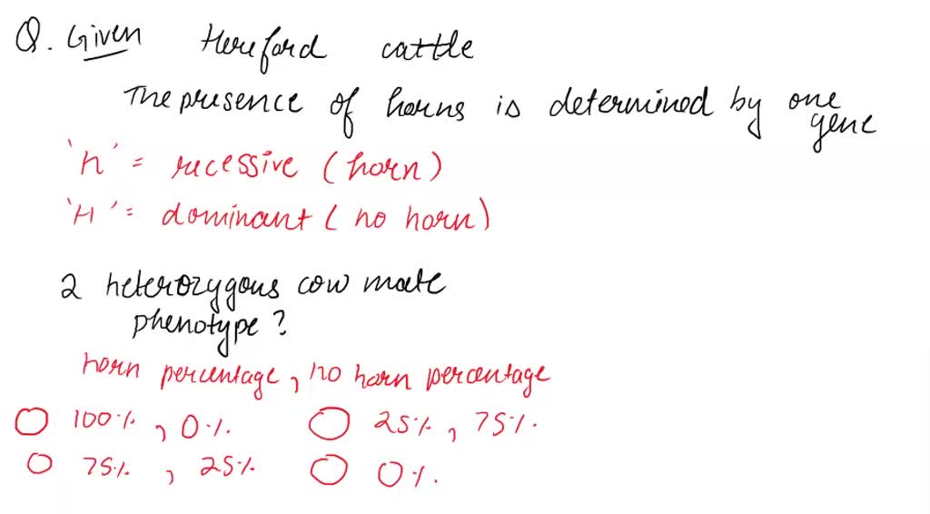 SOLVED: In Hereford cattle, one gene determines whether or not a cow ...
