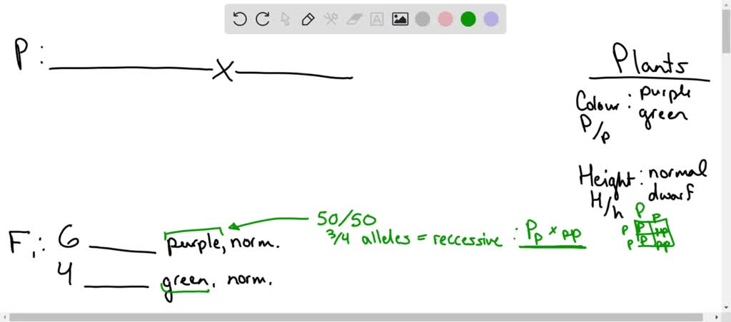 SOLVED: 1. Based on your observations, what are the phenotype and ...
