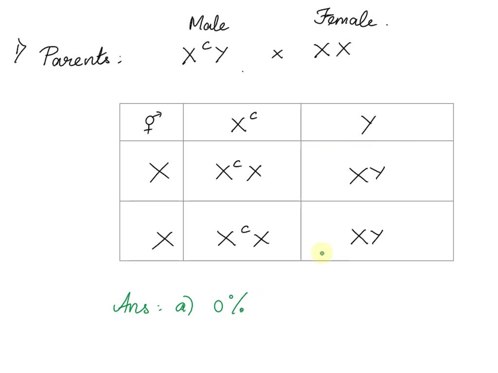 SOLVED: A cleft chin in humans is coded by the dominant allele C. A ...