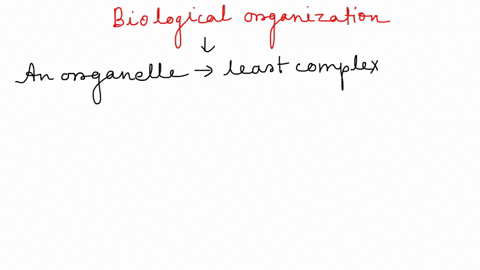 Which of the following sequences represents the hierarchy of biological organization from the ...
