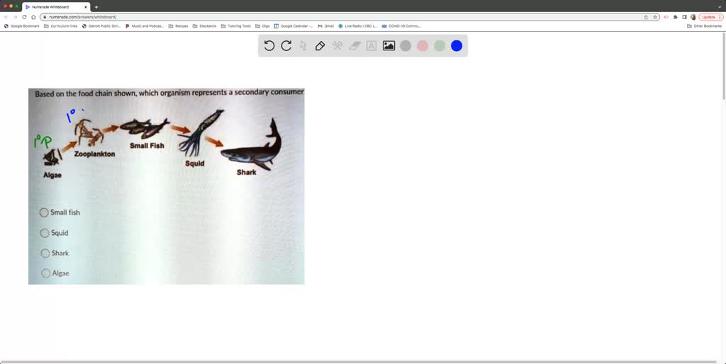 SOLVED: Remember this is a simplified FOOD WEB, not a food chain ...
