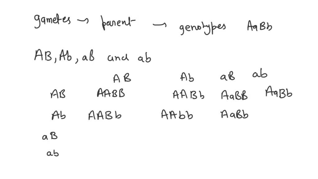 SOLVED: If two loci are involved in fruit color, what genotypes are ...
