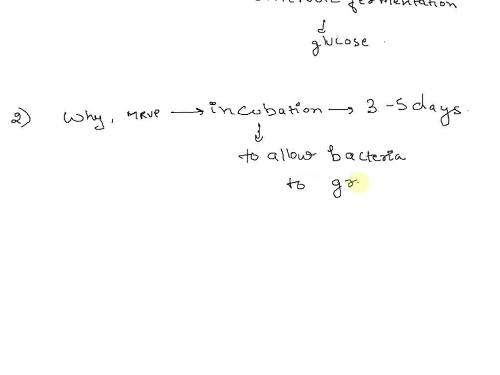 SOLVED: MRVP What two fermentation pathways does MRVP screen for? 2 Why ...