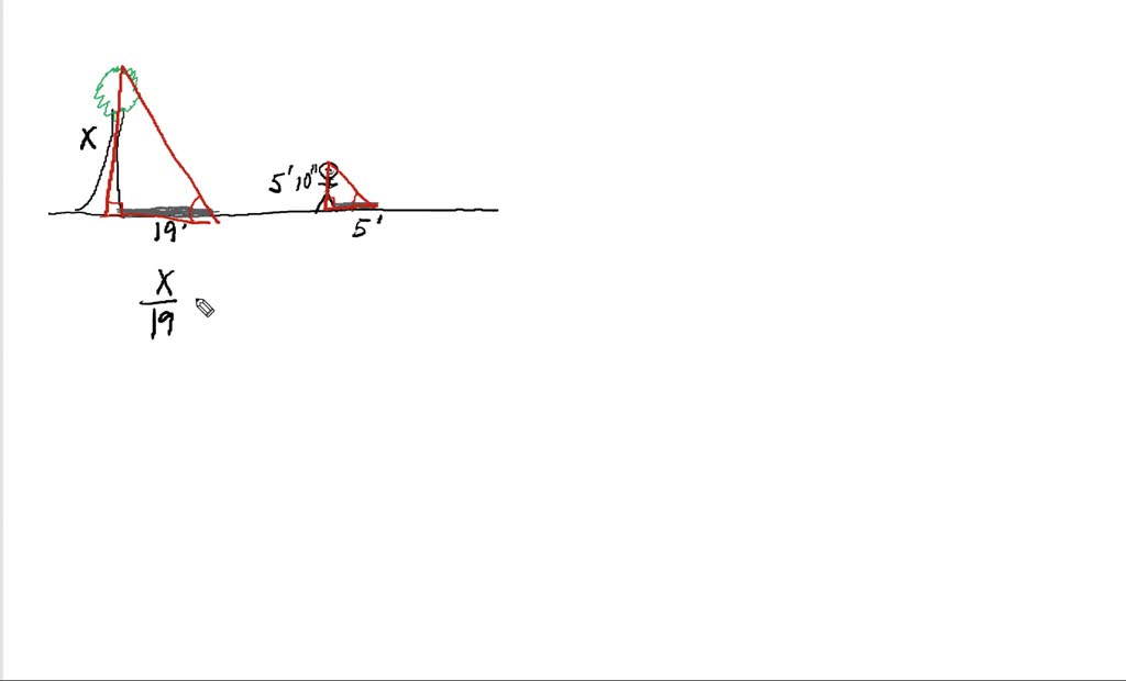 SOLVED: 9. 10 points total Mike is standing 20 feet away from a large ... SOLVED: 9. 10 points total Mike is standing 20 feet away from a large ...