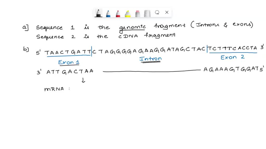 Solved Texts Sequence Assembly Sequence Mapping 20 Pts Sequence