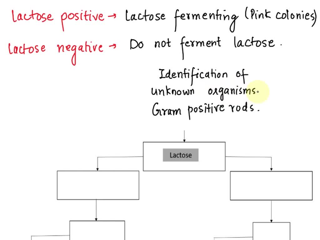 SOLVED: Using the table on p. 370 of your manual, construct a flow ...