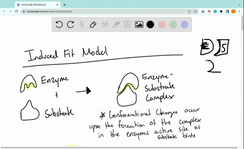 In both induced fit and lock and key models substrate bind...