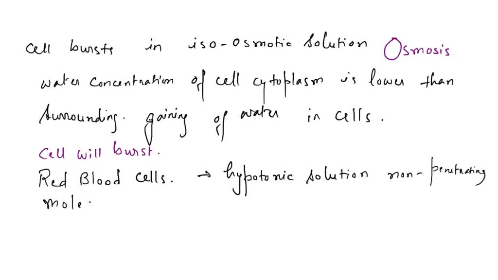 SOLVED: Explain in detail why the cells burst in an iso-osmotic ...