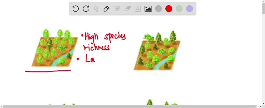 Community diversity Each illustration below may show up to five ...