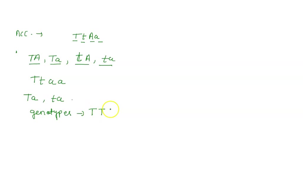 SOLVED: 23. In garden peas, tallness (T) is dominant to shortness (t ...