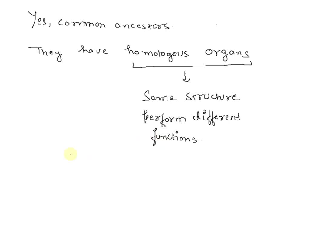 SOLVED: Can you say that human whale and bat might belong to a common ...