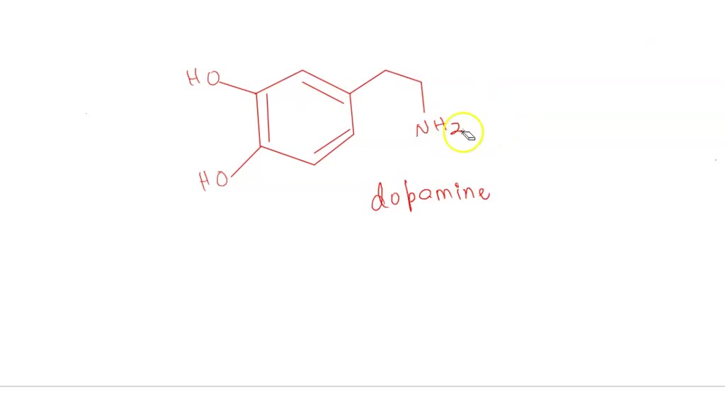 SOLVED: The amine in the structure for dopamine is classified a5 ...