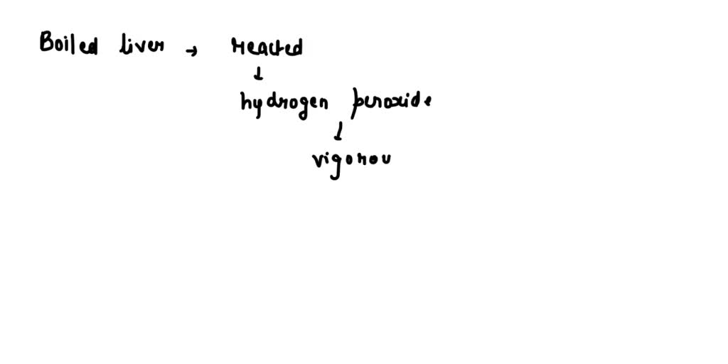 SOLVED: 9 How did the boiled liver react with the hydrogen peroxide? 10 ...
