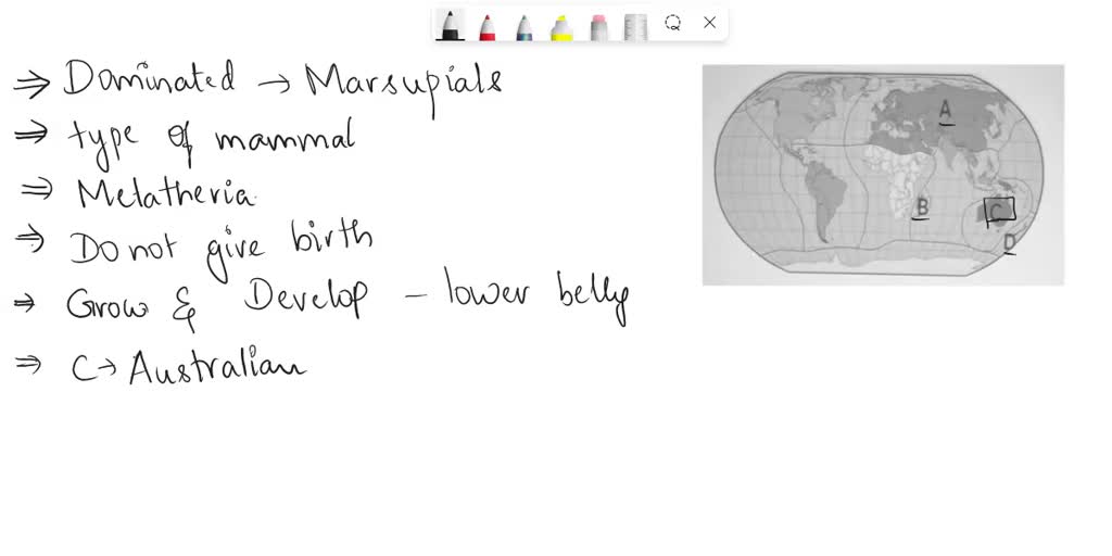 SOLVED: 16 Which of the labels in the map below is where marsupials ...