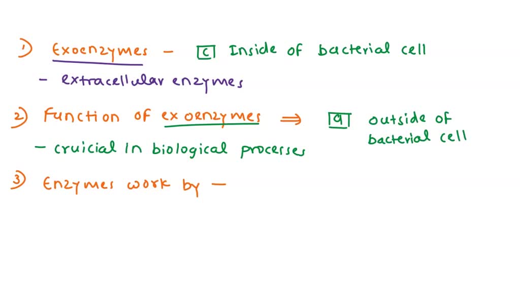 SOLVED: Caseinase is which type of enzyme? a. phospholipase b. lipase c ...