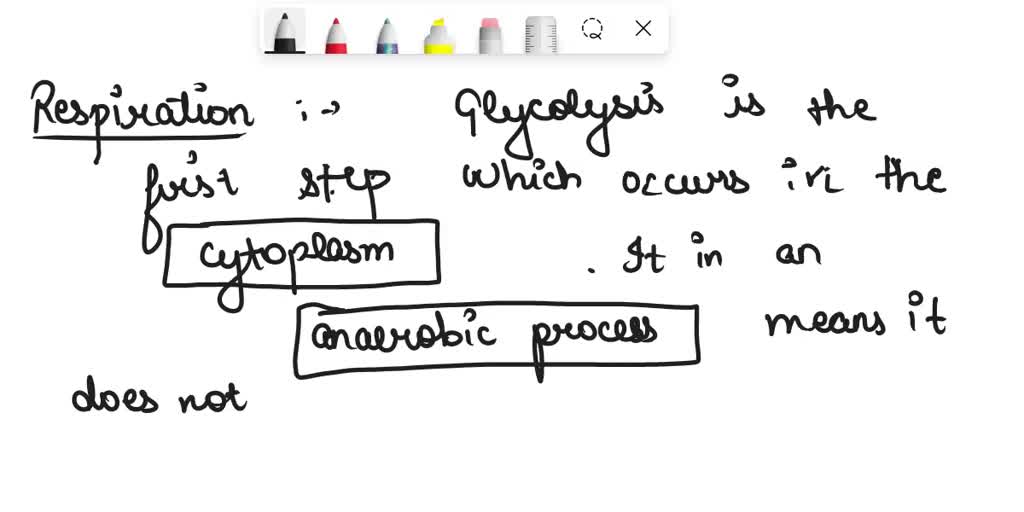 SOLVED: Review Question: Compare the pathways, energy inputs, and ...