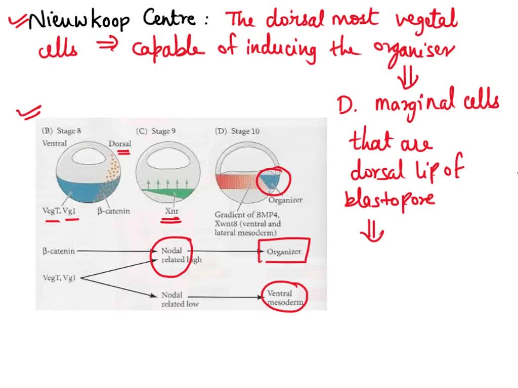 SOLVED: Explain with example and block diagram interrupt driven I/O ...