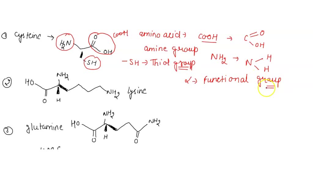 SOLVED: 3.3 Consider the R groups of the following amino acids ...
