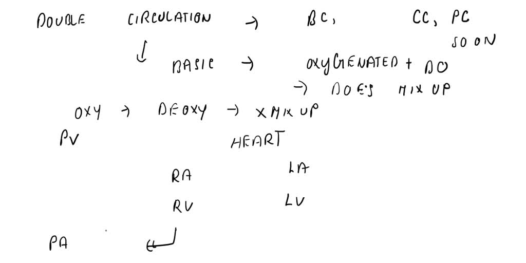 Solved Explain Clearly With A Flow Chart The Computational Procedure 5051