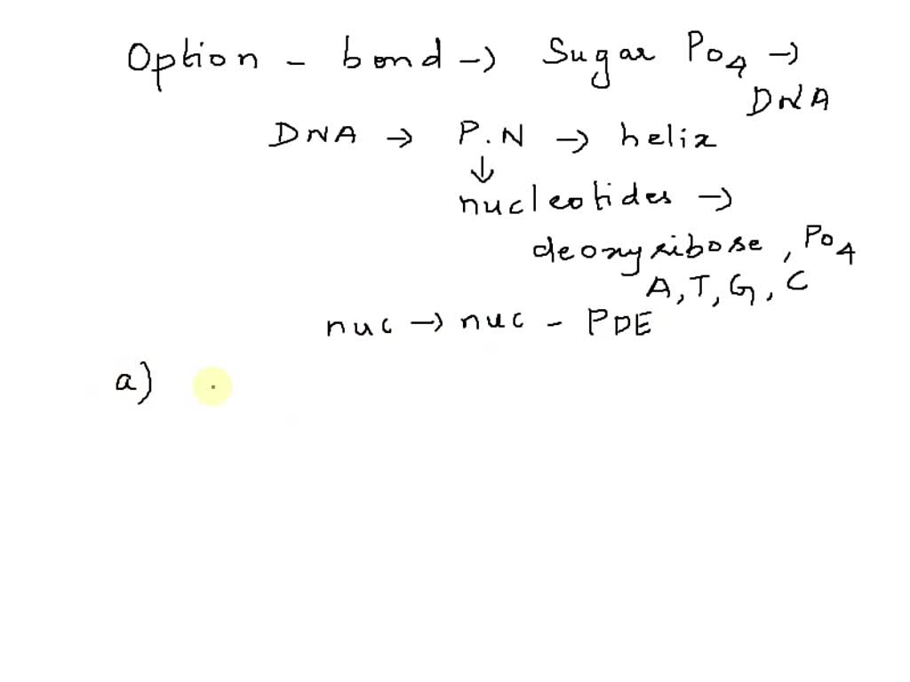 SOLVED: The backbone of the DNA helix is composed of the alternating ...