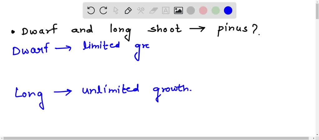 SOLVED: What are differences between a dwarf shoot and long shoot of pinus?